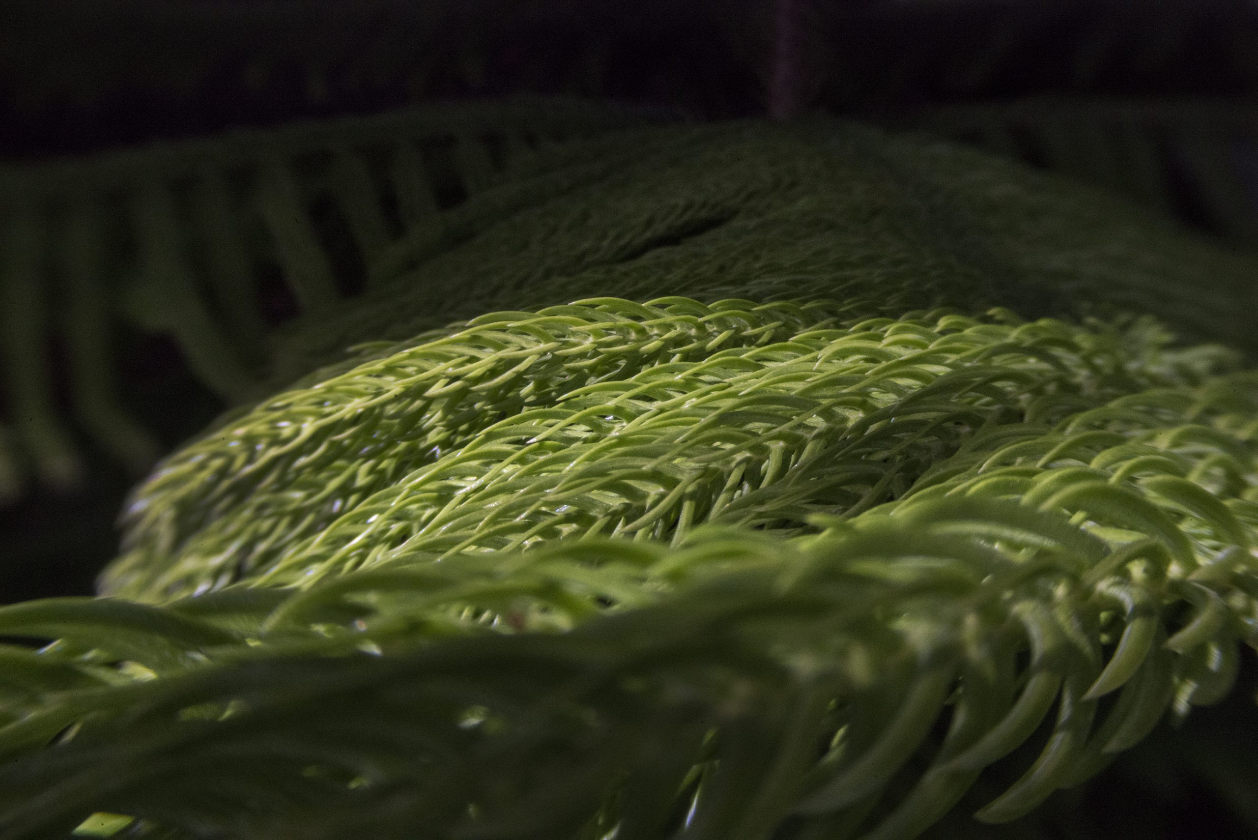 MikroMak Series - Infinity Photo-Optical Company